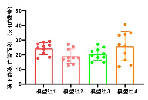 斑马鱼PDX模型建立服务