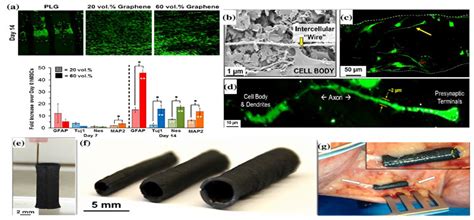 Nanomaterials Free Full Text Graphene Related Nanomaterials For Biomedical Applications