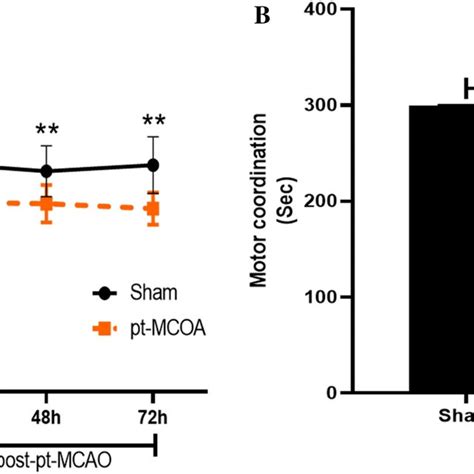Effect Of Pt Mcao On Novel Objective Recognition Test A Heat Maps Download Scientific Diagram