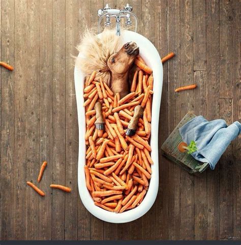 Создать мем продукты морковка по корейски ванна с морковью Картинки Meme