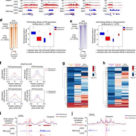 Transcriptome Profiling Reveals Transcriptional Dysregulation Of Key