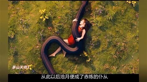 无人区玫瑰国产电影看出了高清1080p在线观看平台腾讯视频