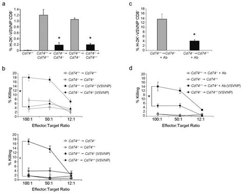 A Cd74 Dependent Mhc Class I Endolysosomal Cross Presentation Pathway Pmc
