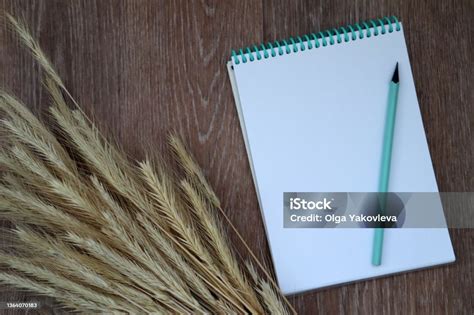 흰색 나선형 메모장의 열린 빈 빈 페이지의 모형과 파란색 연필과 나무 배경에 밀의 말린 귀 텍스트의 공간을 복사합니다 0명에 대한 스톡 사진 및 기타 이미지 Istock