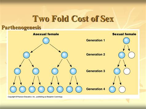 Ppt Biology Of Sex Powerpoint Presentation Free Download Id6899927