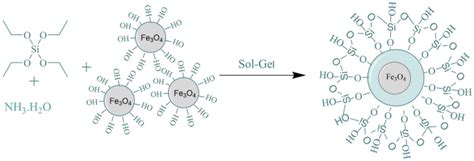 磁性Fe3O4 SiO2纳米粒子吸附甲基橙的研究 Scientific Reports X MOL