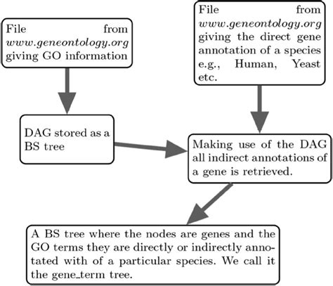 Construction Of Go Similarity Matrix Download Scientific Diagram