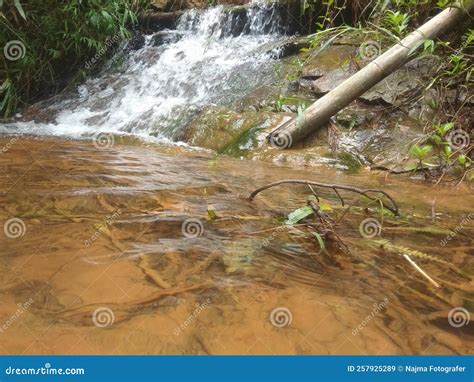 Sukabumi West Java September 25 2022 Indonesia Water Flows In Rural Rivers Stock Image Image