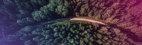 Climate Action And Net Zero Ambition Best Practices For Smes