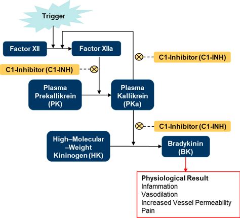 Sebetralstat Kvd A Potent And Selective Small Molecule Plasma Kallikrein Inhibitor