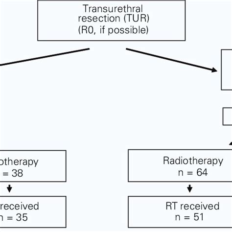 Randomized Phase Iii Trial Comparing Observation And Intravesical Download Scientific Diagram