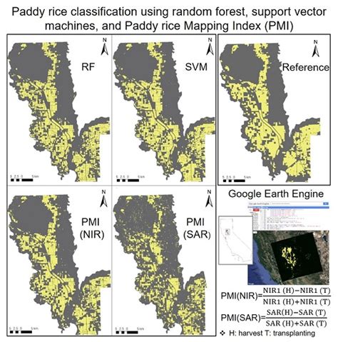 Remote Sensing Free Full Text Classification And Mapping Of Paddy Rice By Combining Landsat