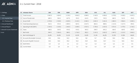 Annual Financial Report Template Adnia Solutions