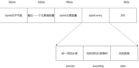 8redis底层数据结构——ziplist和listpack Csdn博客