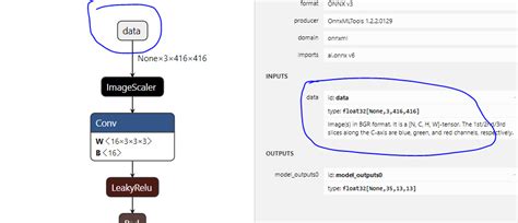 Cant Get Input Column Name Of Onnx Model To Work