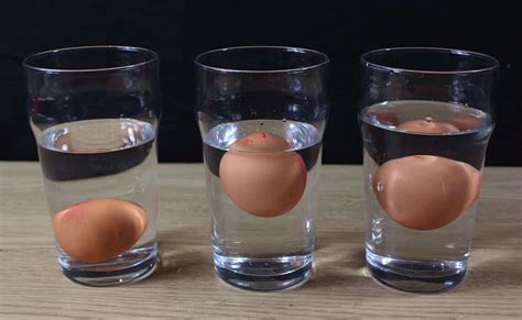 Egg Float Test Tell If Your Expired Eggs Are Still Good To Eat