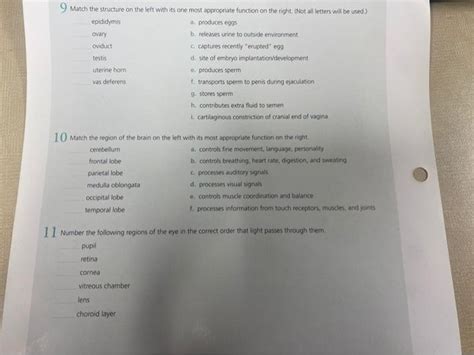 Solved Testis 9 Match The Structure On The Left With Its One Chegg Com
