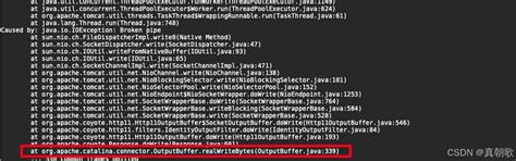 生产环境异常记录—— Ioexception Broken Pipe 的深入分析 Csdn博客