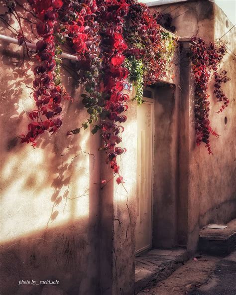 گالری عکس های سعید سلیمانی از ایران