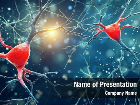 Brain Illustration Human Neurons Structure Powerpoint Template Brain