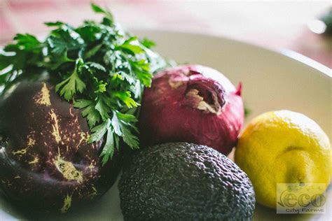 Recipe Sautéed Eggplant Avocado Salad Eco City Farms