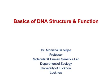 SOLUTION Basics Of Dna Structure Function Studypool