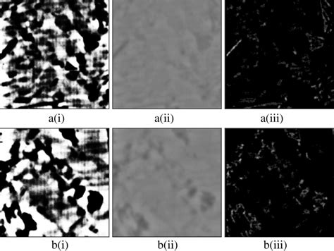 Image Filtering Using The Proposed Anisotropic Diffusion Technique A