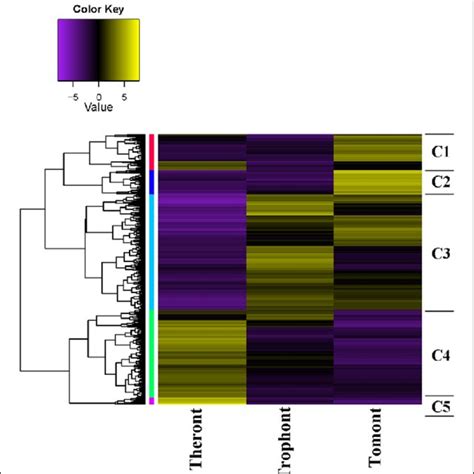 heat map of deg clusters download scientific diagram