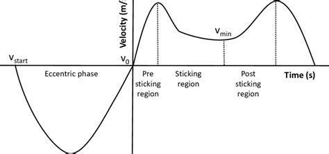 Representative Velocity Time Curve During Sub Maximal Bench Press