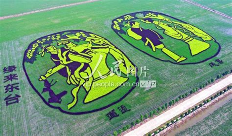 江苏东台：神话传说“织”成多彩稻田画 人民图片网