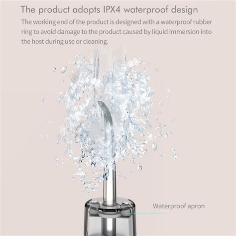 초음파 스케일러 가정용 전기 치과 청소기 치아 스케일링 기계표준 버전