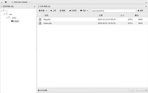 Ctfshow Web入门31，32ctfshow Web32 Csdn博客