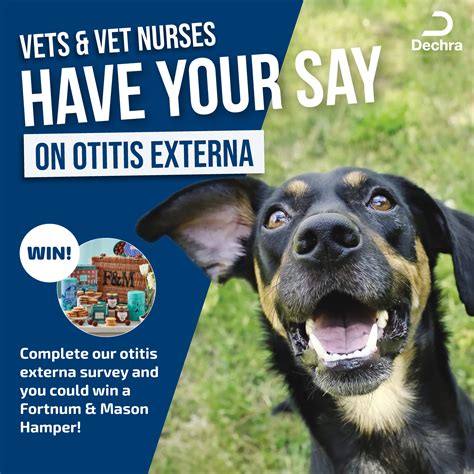 Vets Asked To Share Their Views On Otitis Externa In Dogs Veterinary
