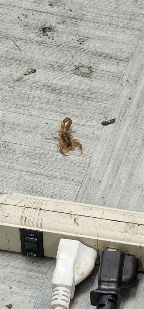 Technology Yaw Jason Osei