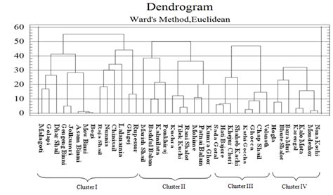 dendrogram based on summarized data on differentiation among 39 rice
