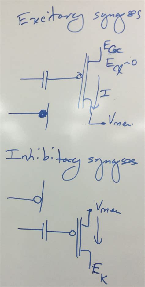 Introduction To Spiking Neural Computation