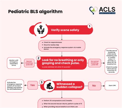 Bls Algorithms