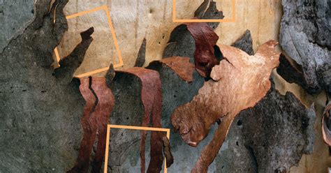 Google Analytics API Tokens In Data Studio Metric Labs