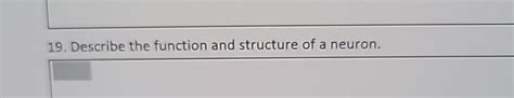Solved Describe The Function And Structure Of A Neuron Chegg