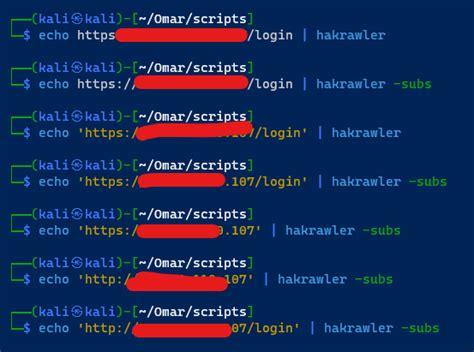 Return Nothing Issue Hakluke Hakrawler GitHub