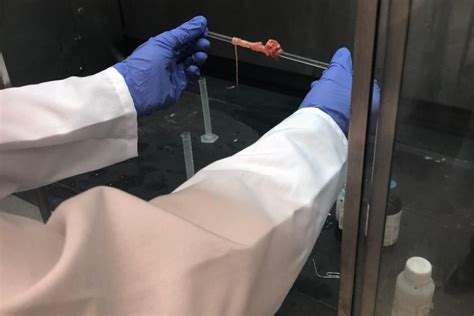 Polymer Chemistry Boston Leadership Institute