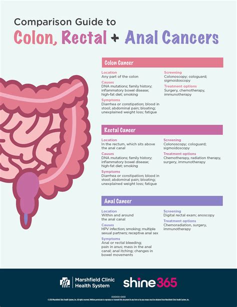 Anal Cancer Colon Cancer And Rectal Cancer Whats The Difference