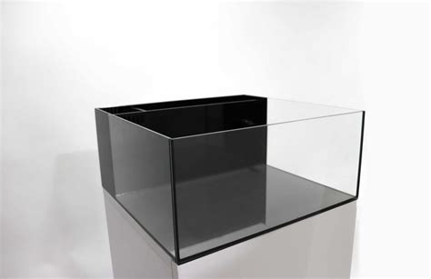 Pico Reef Tank Reef Casa