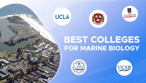 What Is Marine Biology Degree