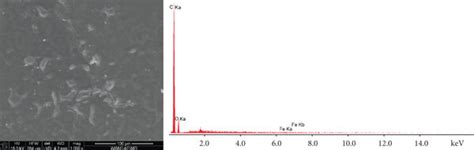 Sem Microphotographs Of Pu Modified With Starch And Magnetite And The Download Scientific