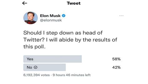 Should I Step Down As Head Of Twitter Asks Elon Musk Majority Say