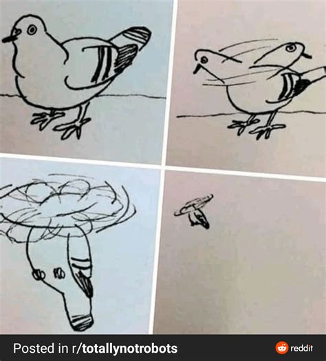 New Default Protocol For Wing Failure Escape Rbirdsarentreal