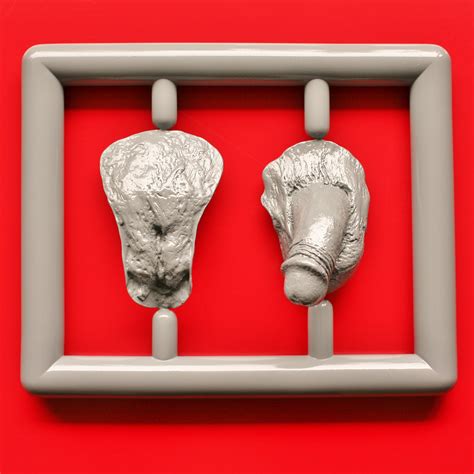 Gender Kit Basic Model