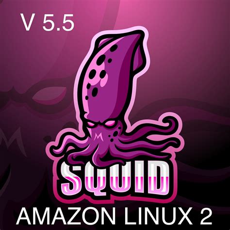 Squid 55 Installation On Amazon Linux 2 Error Free Setup In Just 20