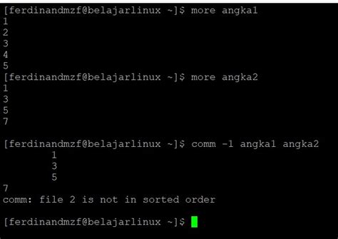 Mengenal Perintah Shell Script Pada Sistem Operasi Unixlinux Ferdinand Blog